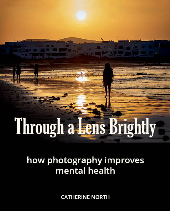 My new book is out for sale – Catherine North